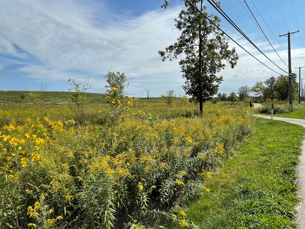 Parks and Open Spaces - Village of Mettawa