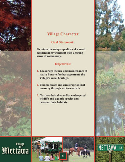 Strategic Plan - Village of Mettawa